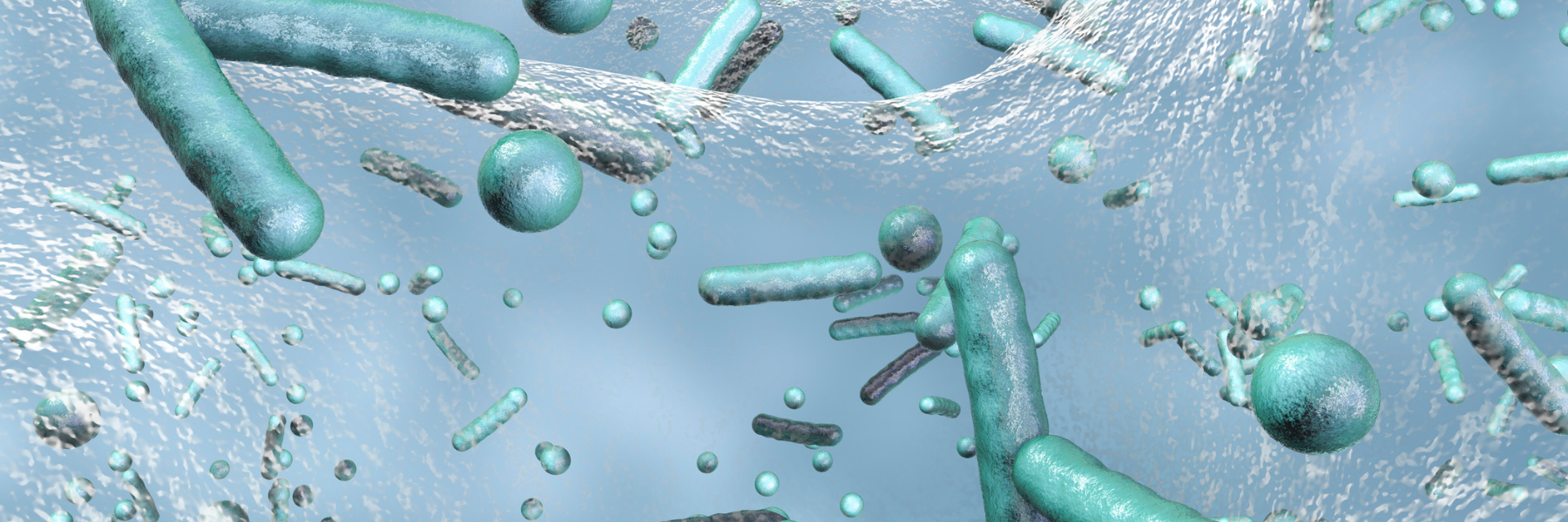 Usuwanie bakterii Legionella z wody